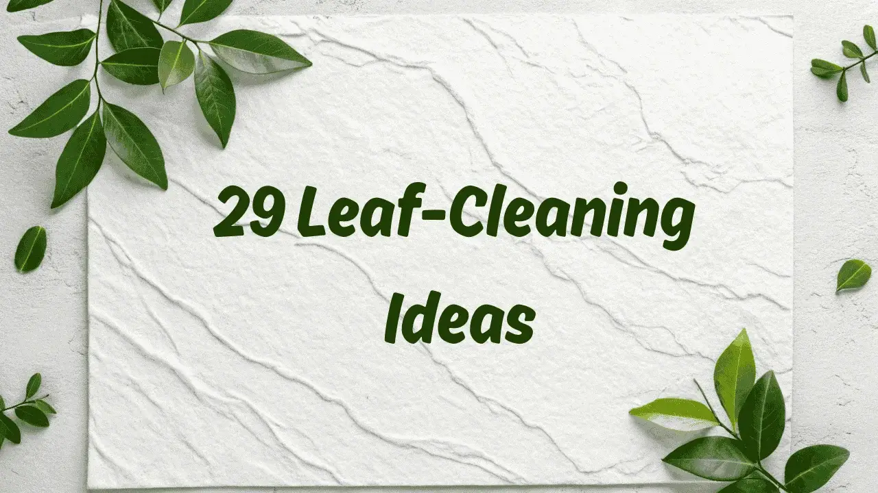 29 Ways to Clean Plant Leaves Properly